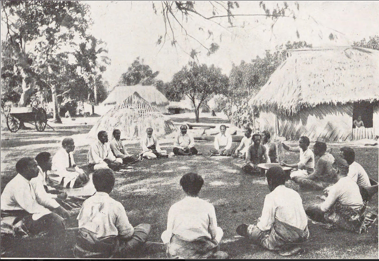 History and Background of Kava in Tonga